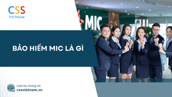 Bảo hiểm MIC là gì? Bảo hiểm quân đội MIC có tốt không?